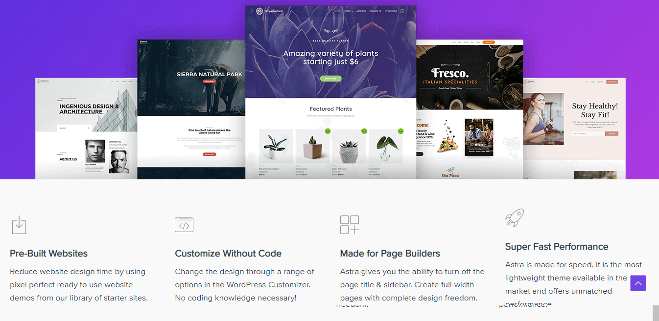 3 WordPress Theme Builders for Faster Web Development